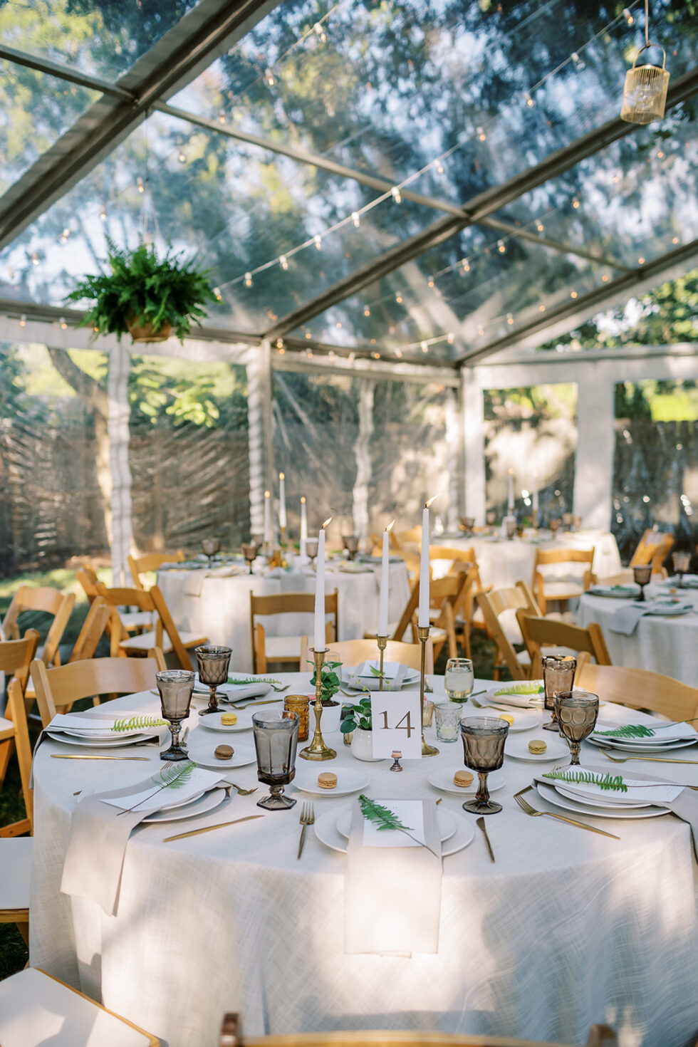 Backyard Cleartop Tent Wedding - juniper and lace events