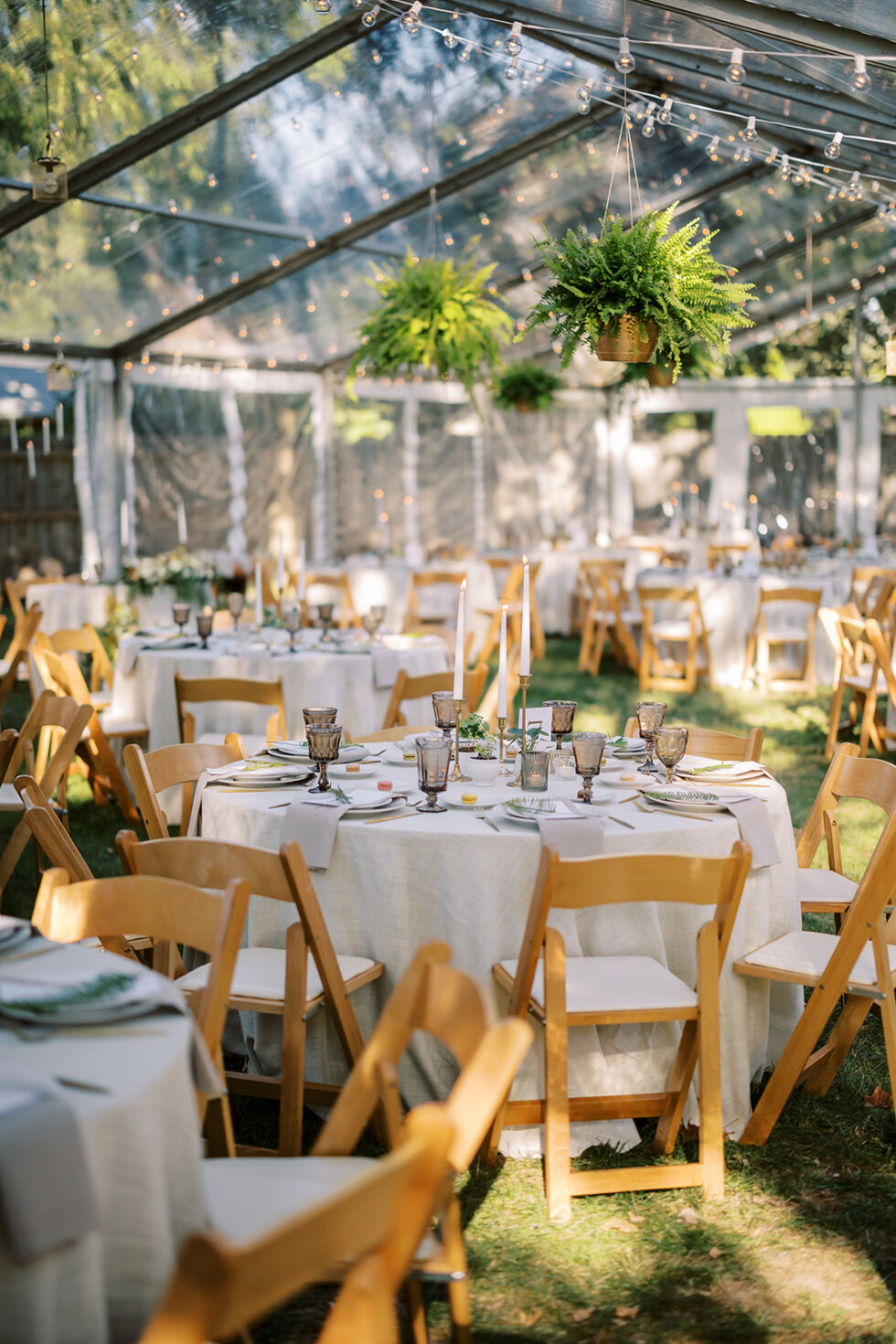 Backyard Cleartop Tent Wedding - juniper and lace events